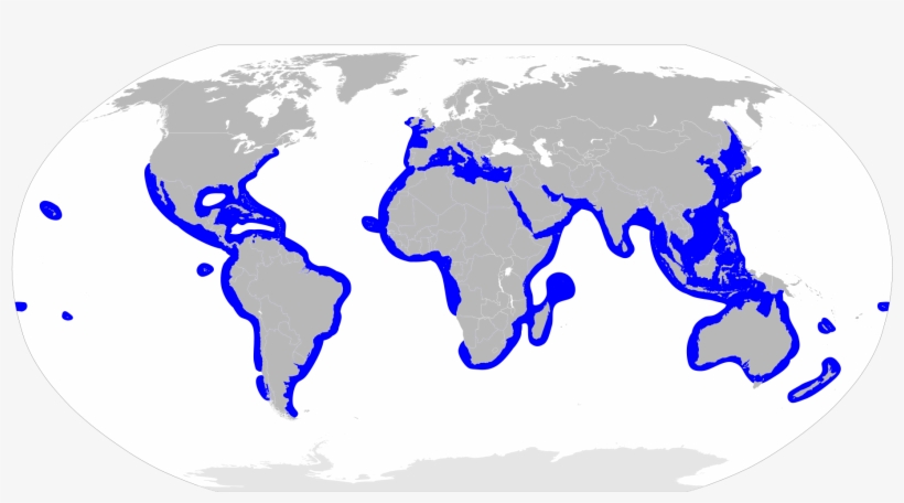 Clown Fish Habitat Maps