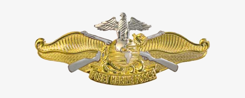 Fleet Marine Force Pin - 587x249 PNG Download - PNGkit