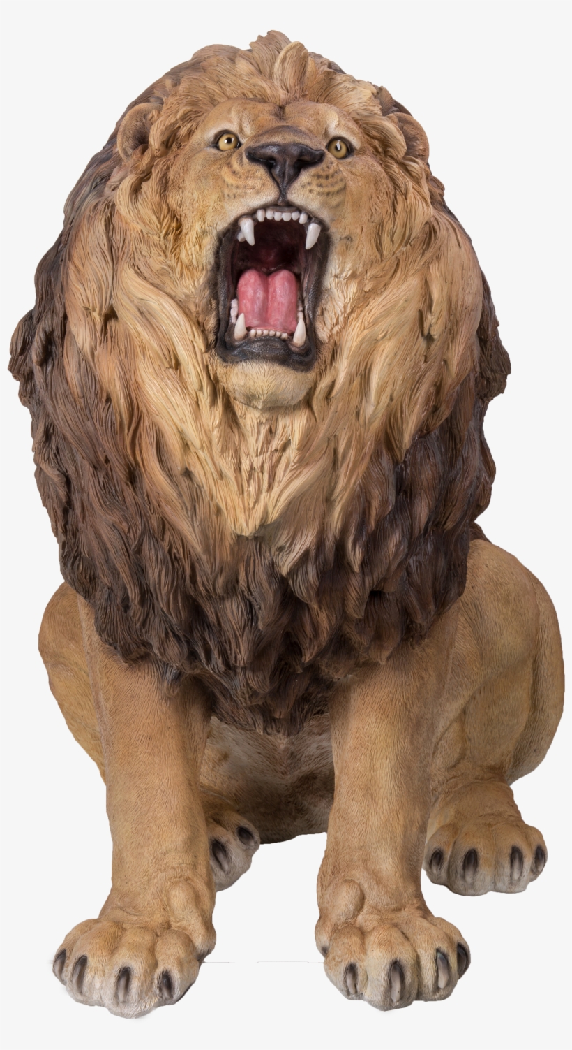 Masai Lion - 2395x4128 PNG Download - PNGkit