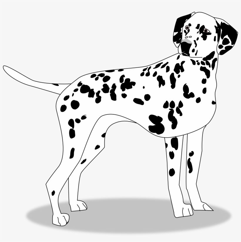 Big Image - Dog - 2400x2294 PNG Download - PNGkit