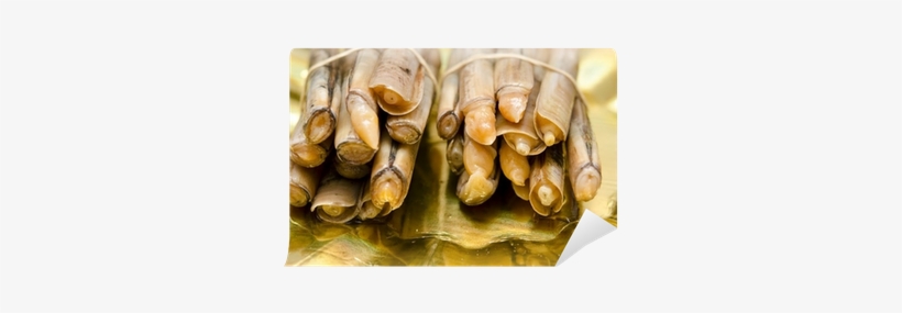 Photography - 400x400 PNG Download - PNGkit