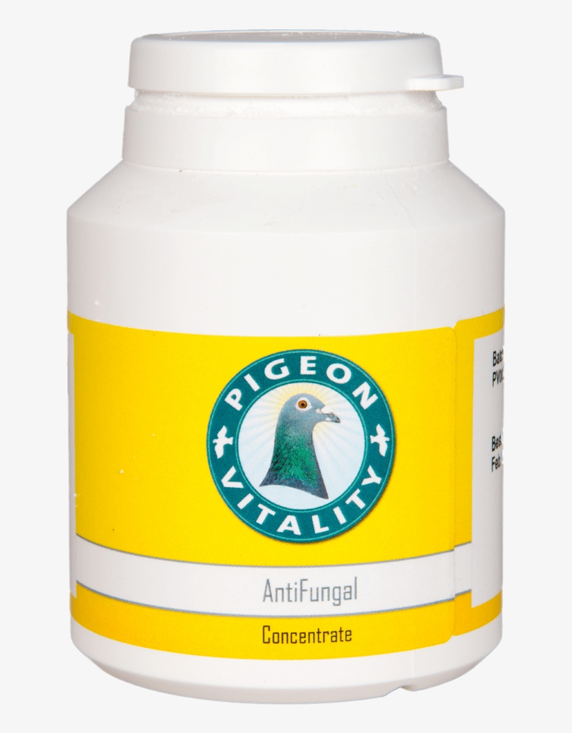 Healthy Pigeons - Racing Pigeon - 1006x1409 PNG Download - PNGkit