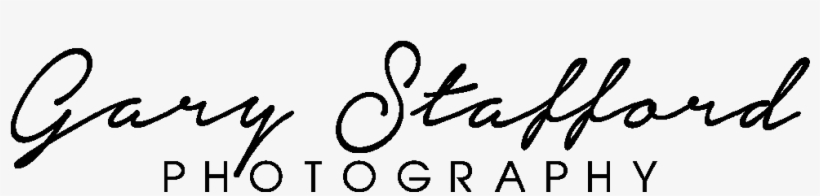 Destined For Him/jared: The Pirate/gideon: The Adventurer/rafe ...