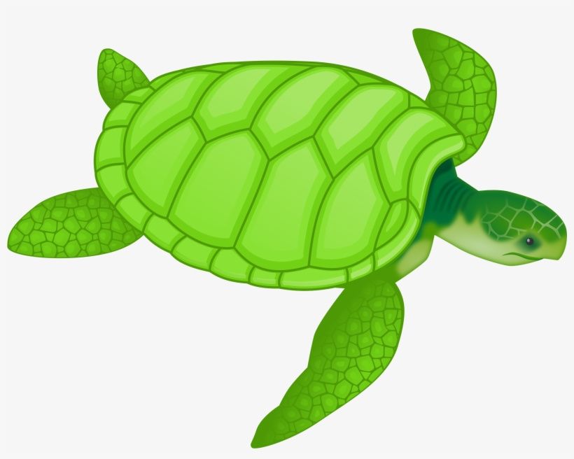 This Free Icons Png Design Of Green Sea Turtle - 2400x1778 PNG Download ...