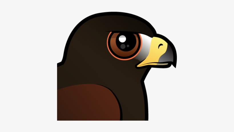About The Harris Hawk - Cartoon Harris Hawk - 440x440 PNG Download - PNGkit