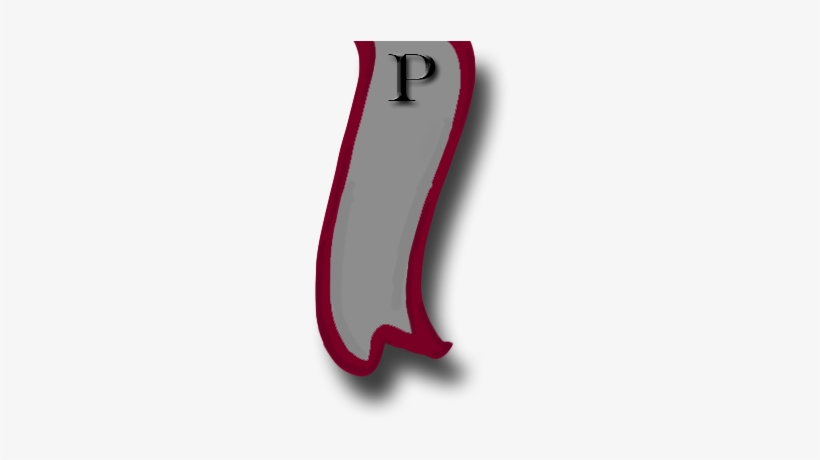 Photobucket Icon - 252x500 PNG Download - PNGkit