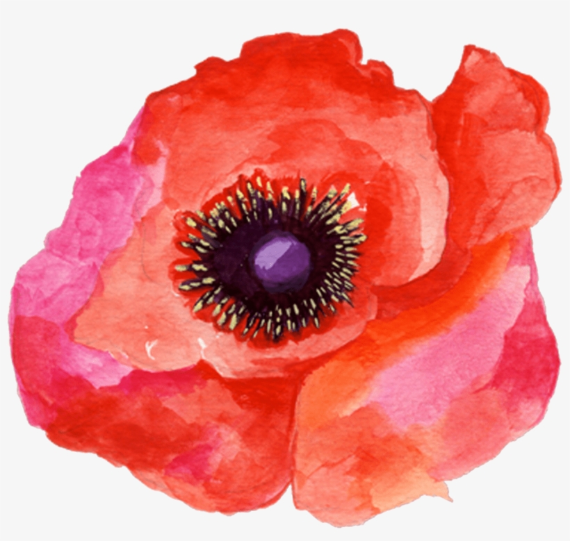 Red - 1452x1362 PNG Download - PNGkit