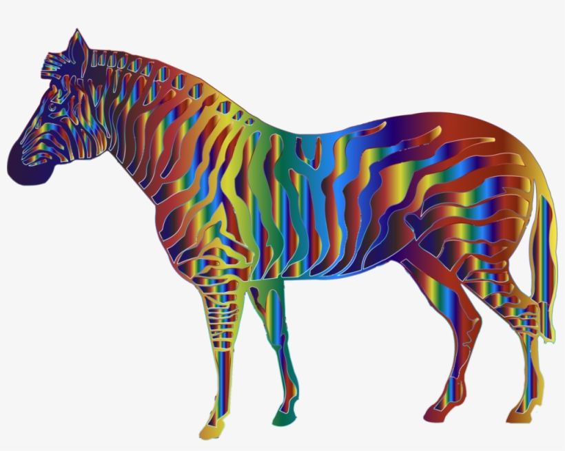 Quagga Mane Horses Zebra - Horse - 1000x750 PNG Download - PNGkit