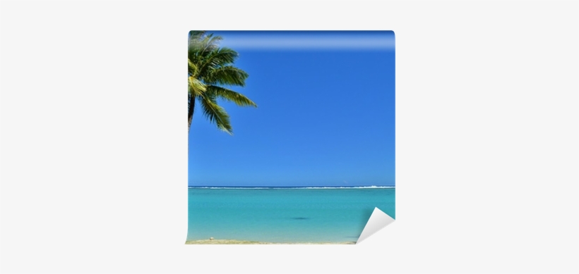 Caribbean - 400x400 PNG Download - PNGkit