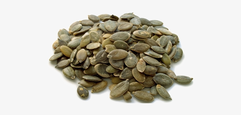 Pumpkin Seeds Transparent - Pumpkin Seed - 497x339 PNG Download - PNGkit