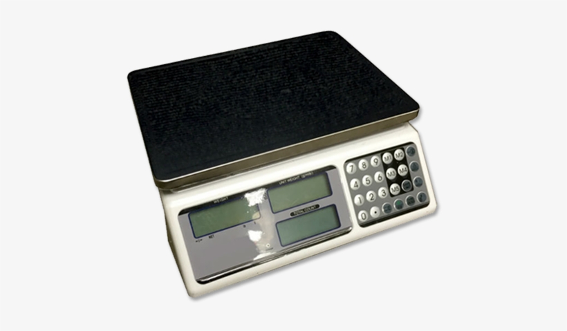 12 Inch X 11 Inch Digital Counting Scale - Inch - 500x417 PNG Download ...