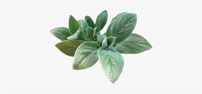 Green Overlays For Edits - 500x375 PNG Download - PNGkit