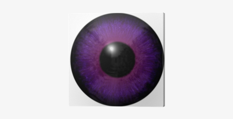 Detail Of Eye With Purple Colored Iris And Black Pupil - Circle ...