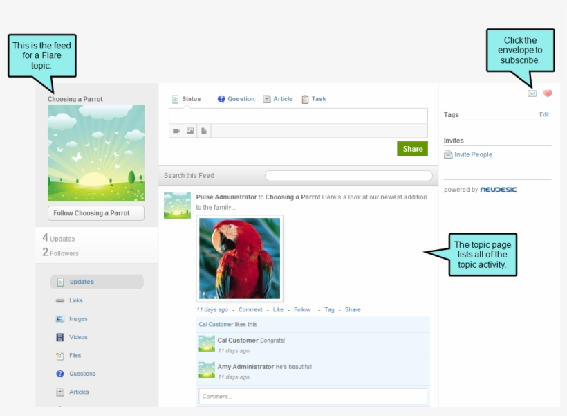Navigate To A Flare Topic - Parrot - 1036x712 PNG Download - PNGkit
