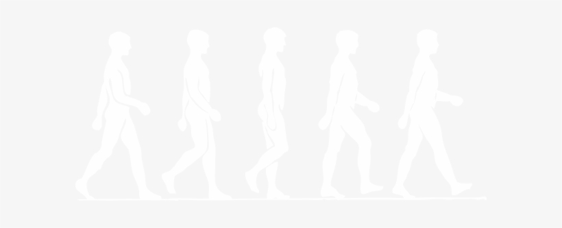 Apnea Walks Do A Lot For Your Freediving Training, - Walking Step By ...