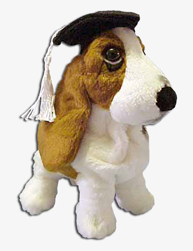 Graduation Hushpuppy Basset Hound Puppy Dog - Basset Hound - 700x1000 ...
