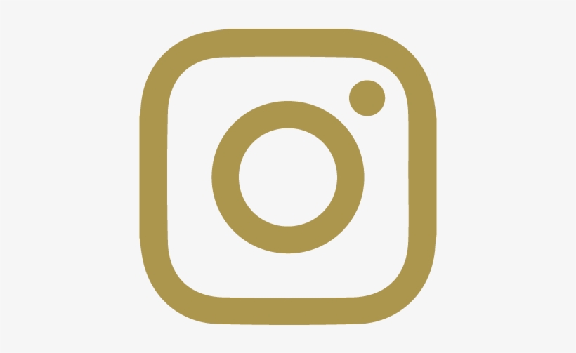 Insta Web Icon - Instagram - 432x432 PNG Download - PNGkit