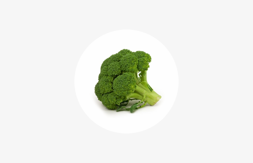 Brocoli - 450x450 PNG Download - PNGkit