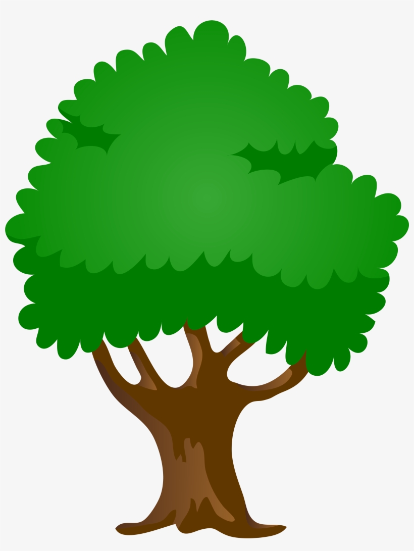 Oak Tree Cartoon Png - 6023x7632 PNG Download - PNGkit