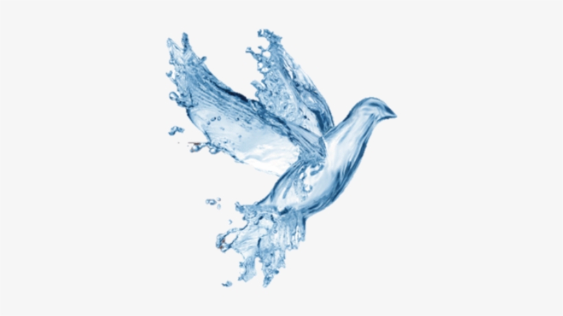 Water Dove Image - Prince Roger Nelson Rip - 400x485 PNG Download - PNGkit