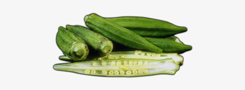 Okra - Okra Transparent - 500x400 PNG Download - PNGkit