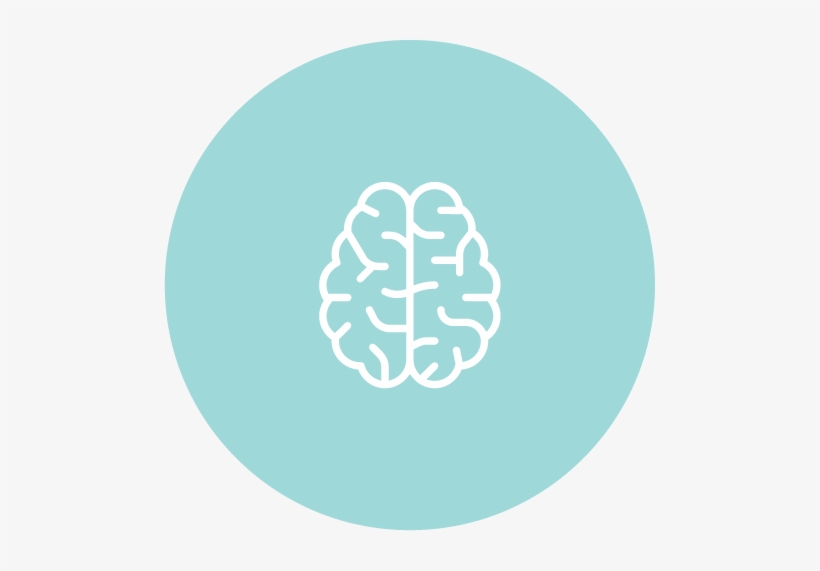 Brain - Portable Network Graphics - 491x491 PNG Download - PNGkit