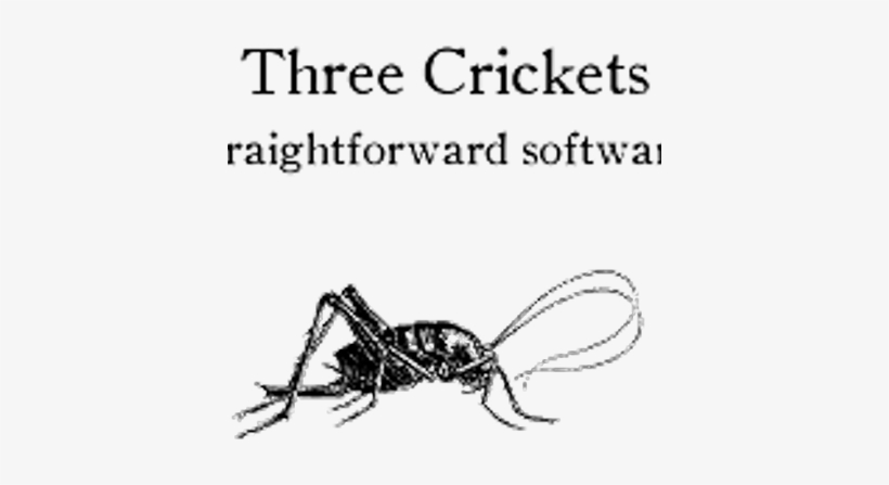 Three Crickets - Spotted Wingless Cricket Poster - 400x400 PNG Download ...