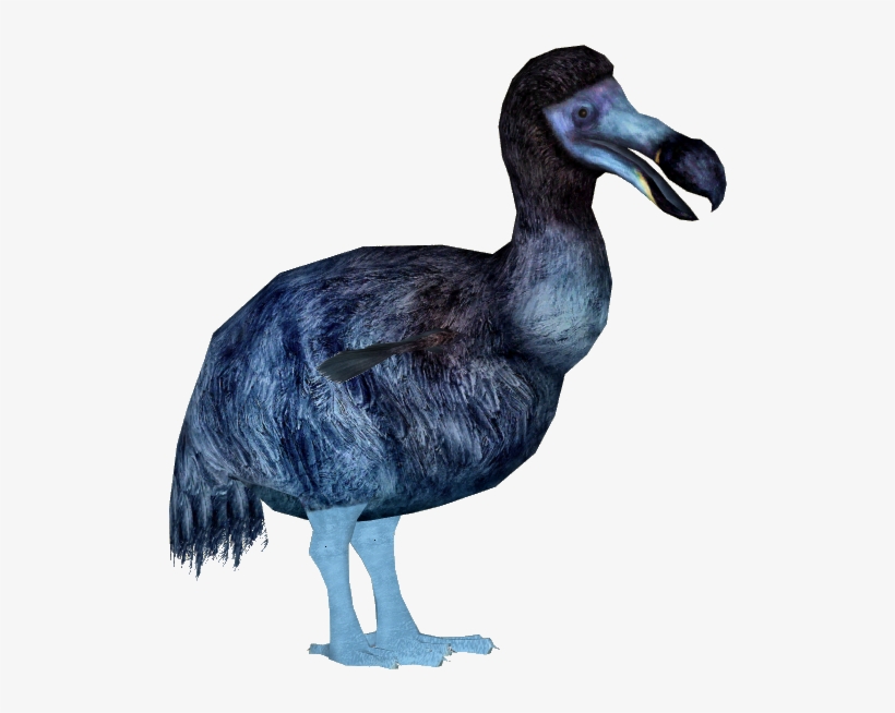 Blue Dodo - Thumbnail - 553x588 PNG Download - PNGkit