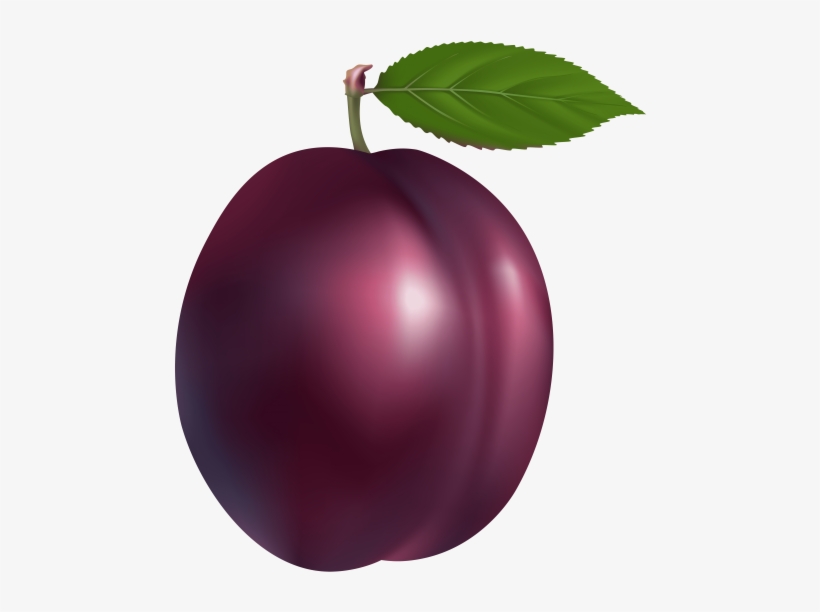 Free Png Plum Png Images Transparent - Plum Clipart - 480x541 PNG ...