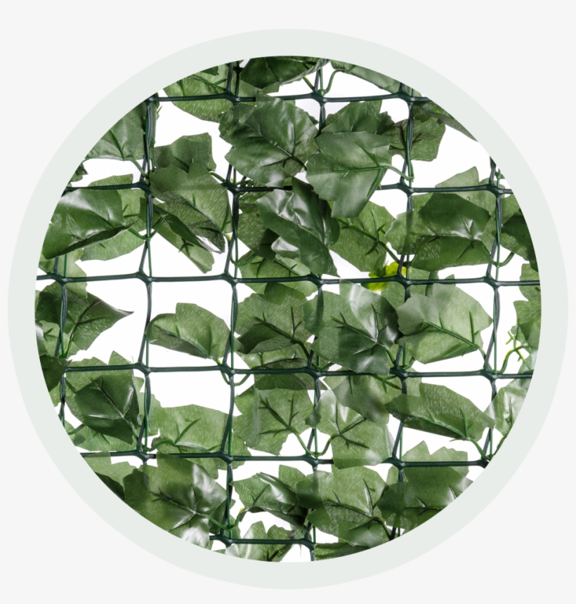 1m X - Circle - 953x953 PNG Download - PNGkit