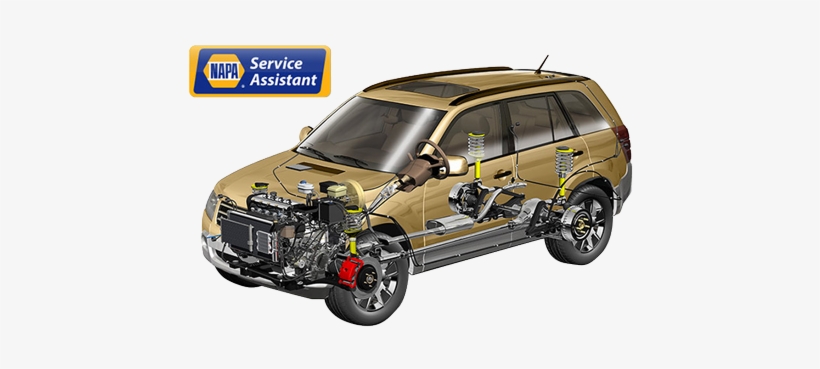 Napa Service Assistant Auto Repair Fort Collins - Napa Auto Parts ...