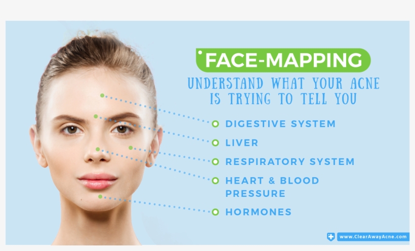 Download Transparent Acne Face Mapping - PNGkit