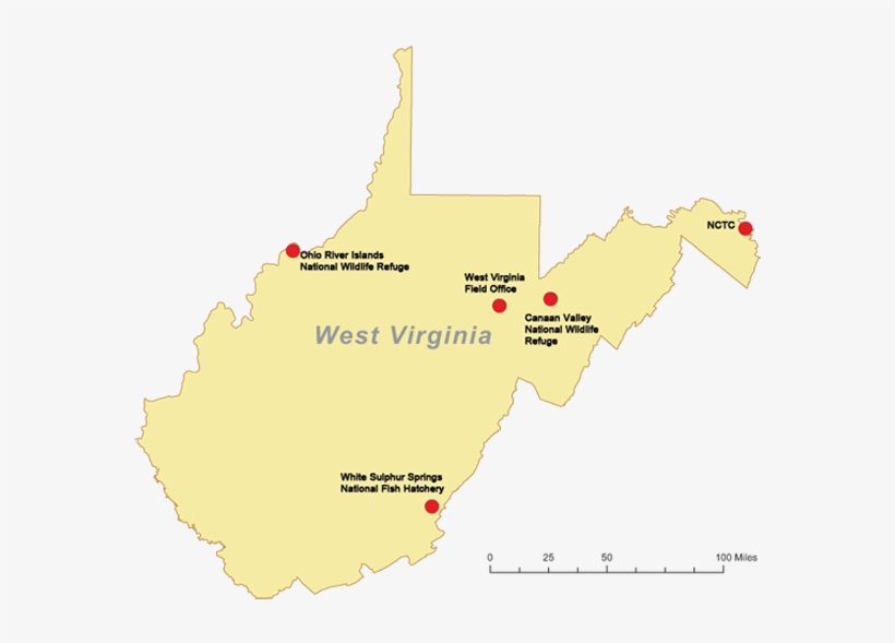 West Virginia Field Office - West Virginia State Mirror License Plate ...