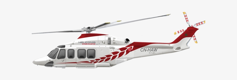 Aw9 - Heliconia Helicoptere - 600x350 PNG Download - PNGkit