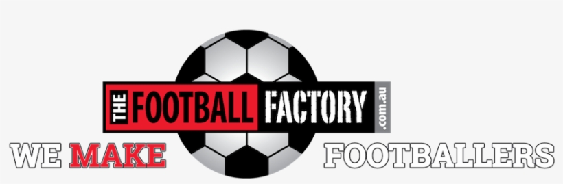 The Football Factory The Football Factory - Nike Team Training Football ...