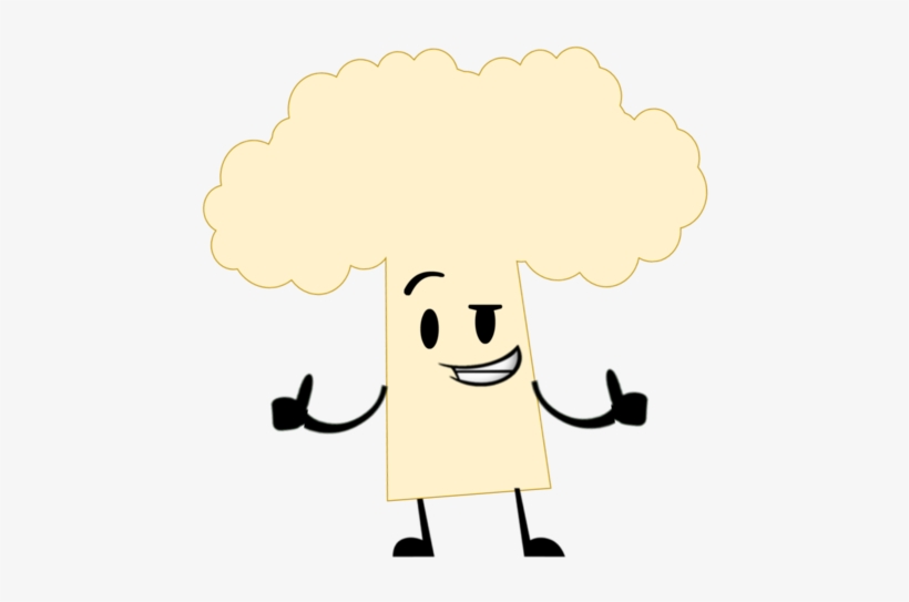 Bfmt Cauliflower - Object Show Cauliflower - 485x480 PNG Download - PNGkit