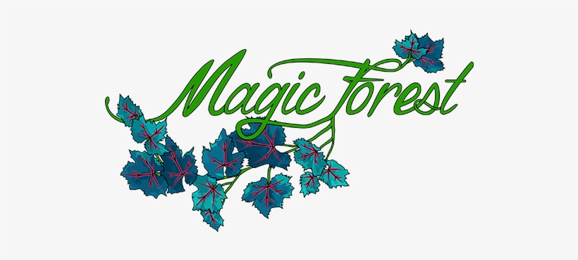 Home - Magic Forest Logo - 523x380 PNG Download - PNGkit