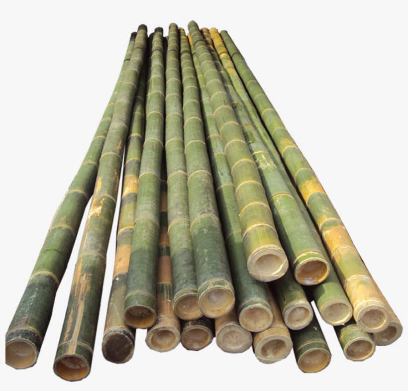 Bamboo Half Cut - Bamboo Pole Vault Poles - 900x800 PNG Download - PNGkit