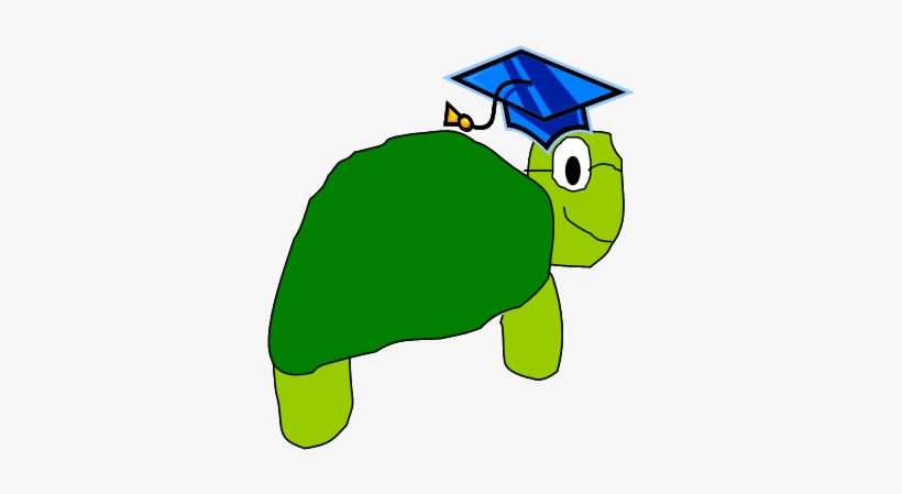 Nerd Turtle - Cartoon - 357x368 PNG Download - PNGkit