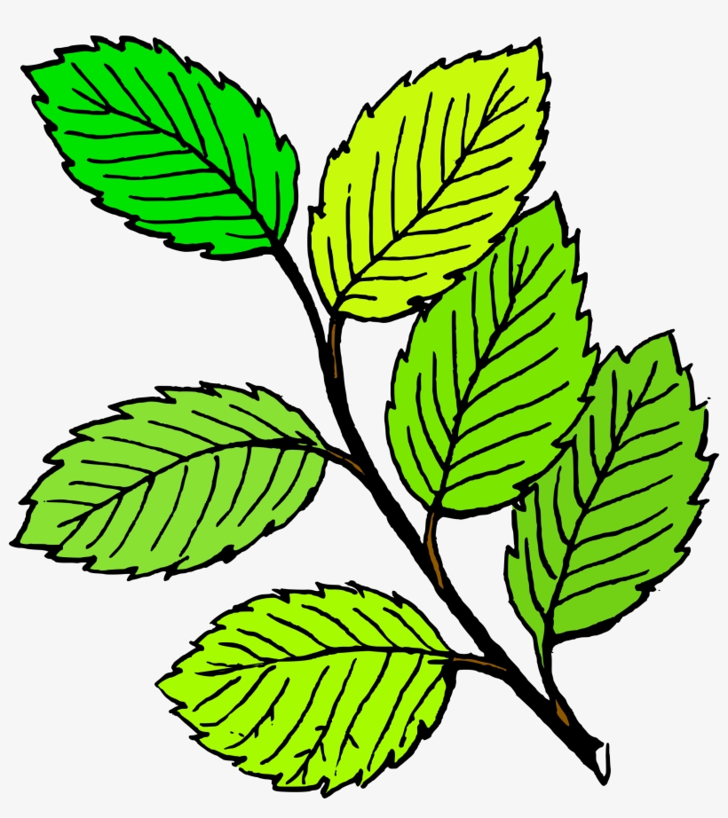 Download Transparent Png Spring Leaf Clipart Image Clipartix - Clip Art ...