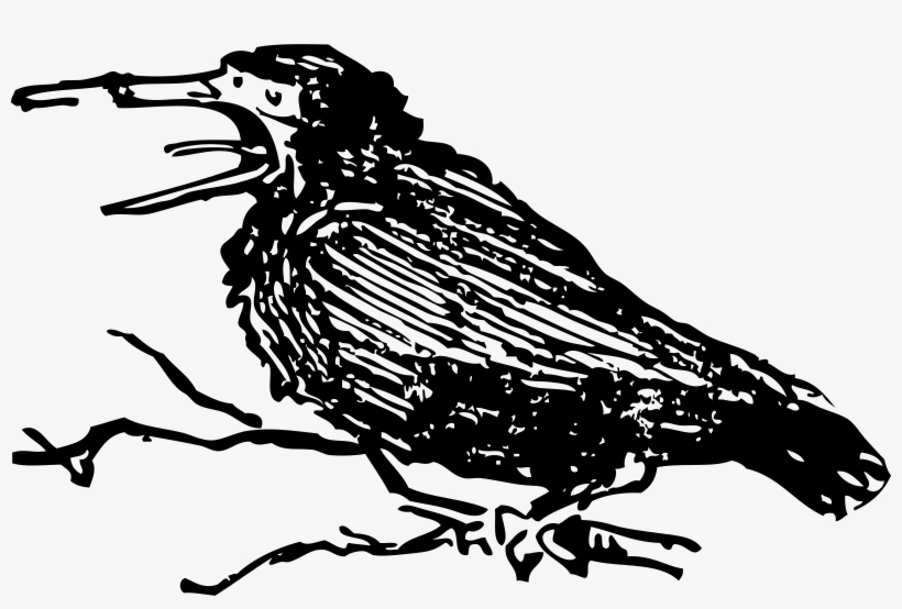 This Free Icons Png Design Of Old Crow - 2400x1506 PNG Download - PNGkit