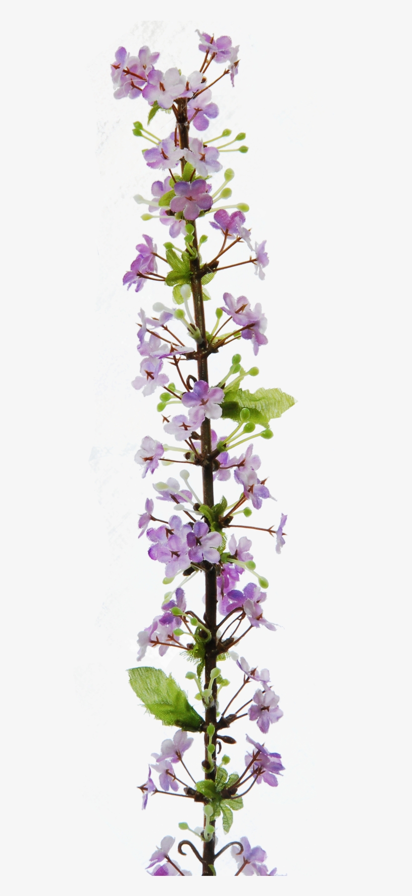 Centimetre - 1700x1700 PNG Download - PNGkit