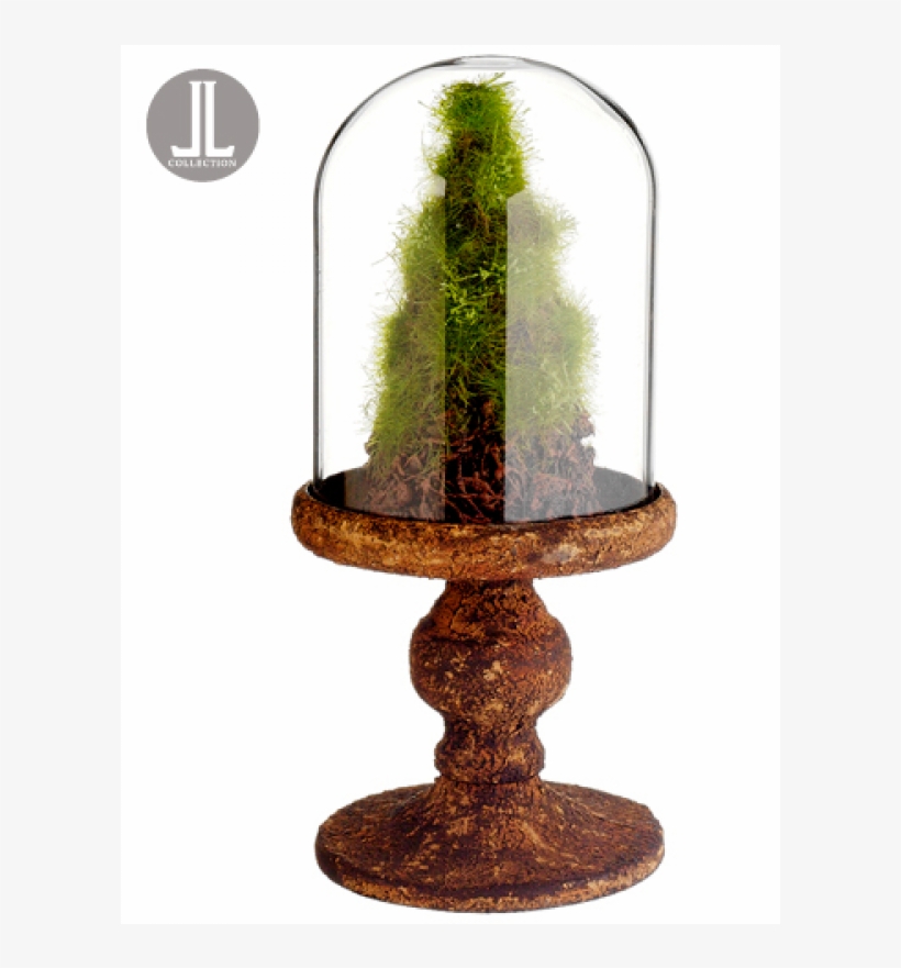 5" Moss/twig Cone Topiary In Glass Dome Green Brown - 9.5" Moss/twig ...