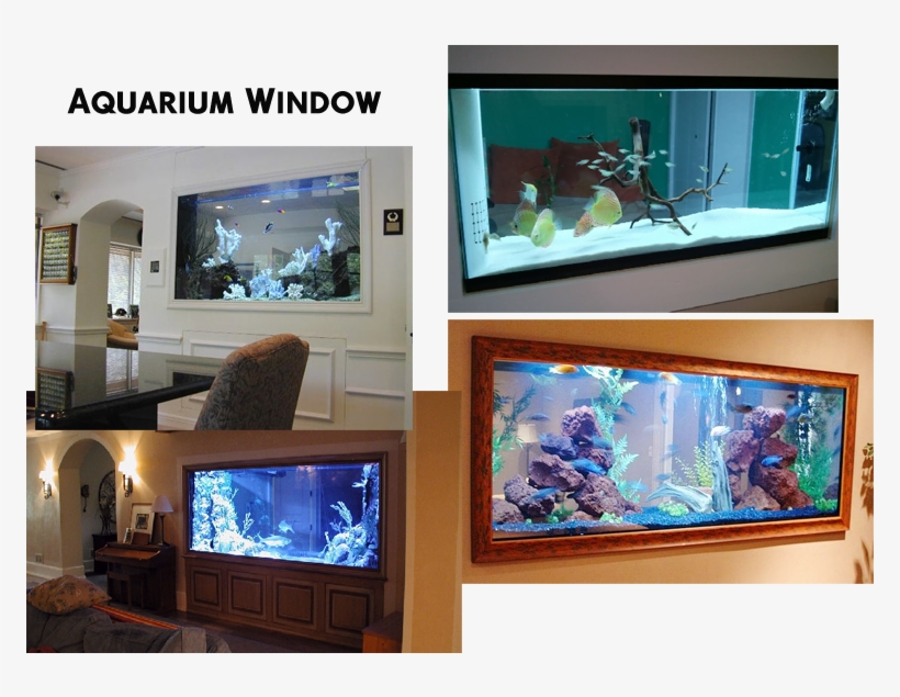 Let Us Fill The Aquarium Window With Our Own Fish Or - Built In Fish ...