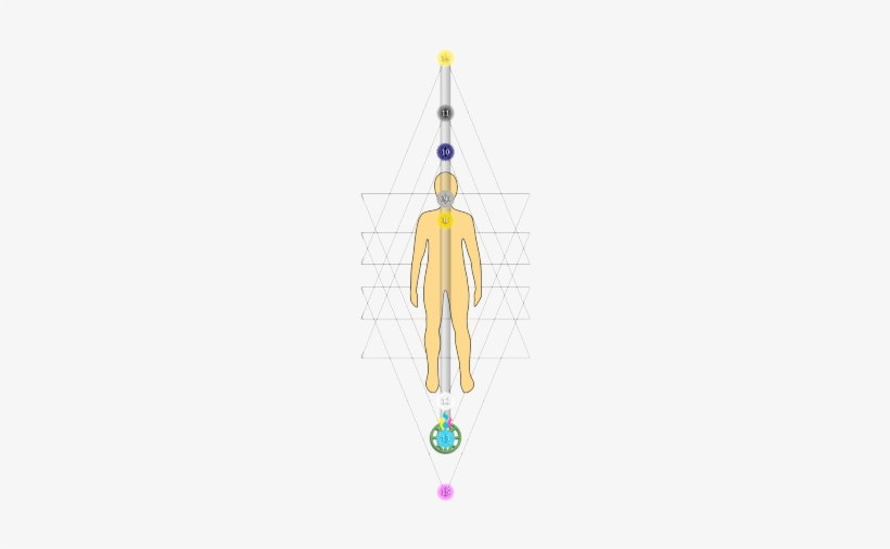 Anti Particle Chakras 8 - Morphogenetic Chakras - 300x426 PNG Download ...