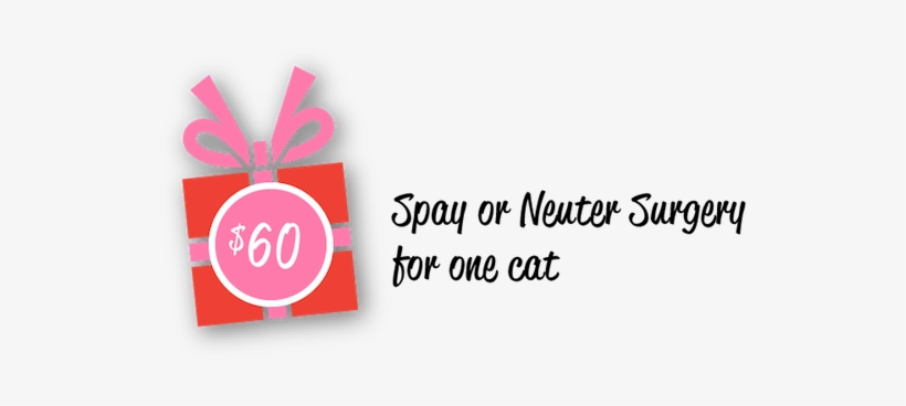 60 - Stop Sign - 555x300 PNG Download - PNGkit