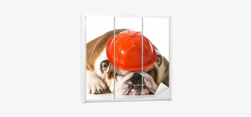 Bulldog Fireman - 400x400 PNG Download - PNGkit