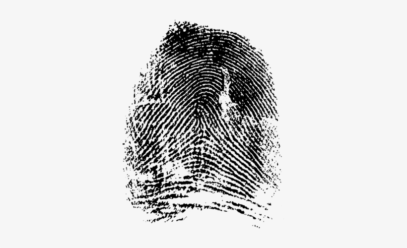 Fingerprints As Detectives - Gif Finger Print - 325x420 PNG Download ...