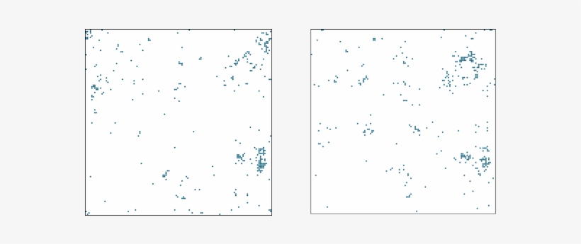 Images/fingerprints En Associative Mouse Rat - Symmetry - 598x283 PNG ...