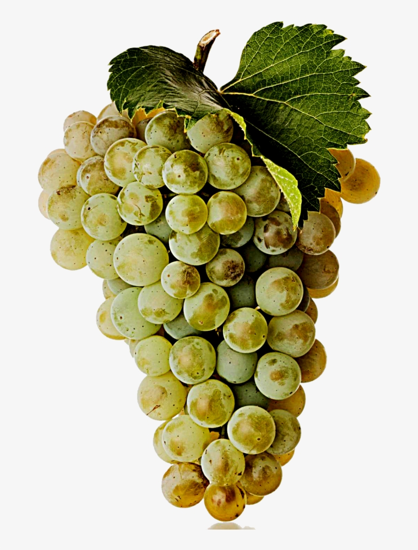 White Wine Grape - Viognier Grape - 866x1024 PNG Download - PNGkit
